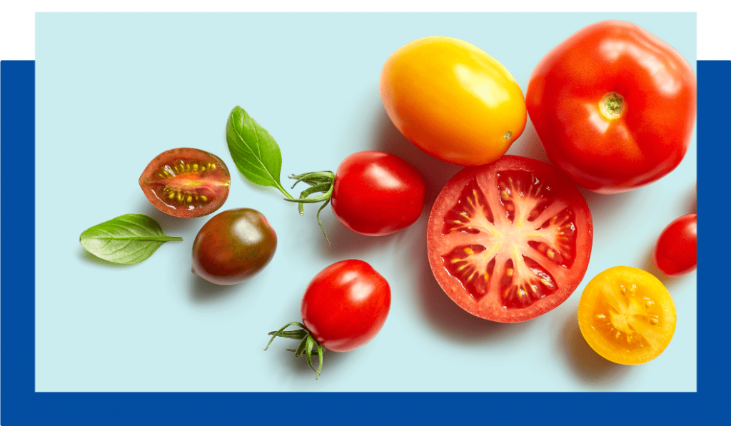 Tips tomato kekal segar - Mahsuri