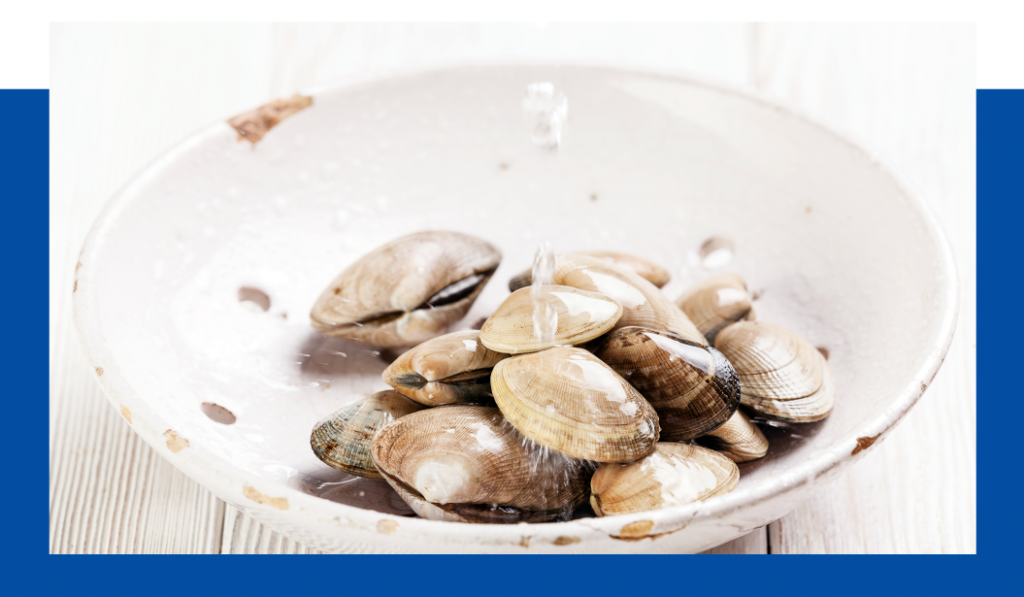 How To Clean Clams - Mahsuri